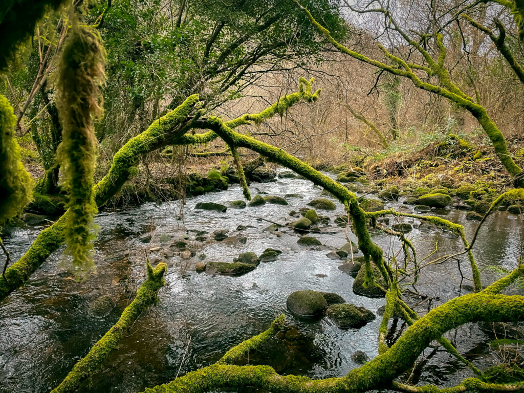 Hikes Accessible by Public Transport In and Around Dublin, Ireland ...