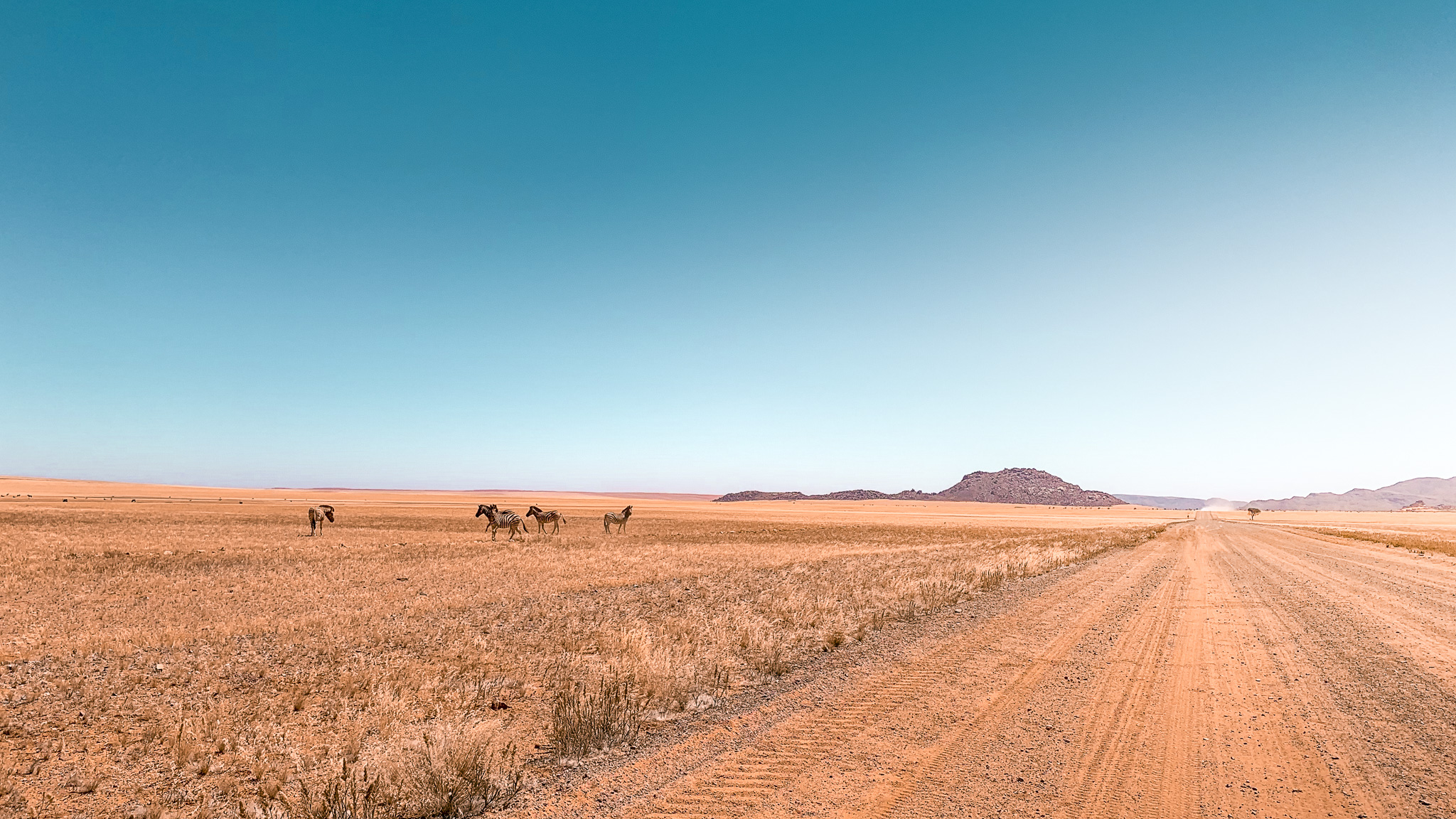 A Road Trip to the Most Beautiful Sand Dunes: Southern Namibia ...